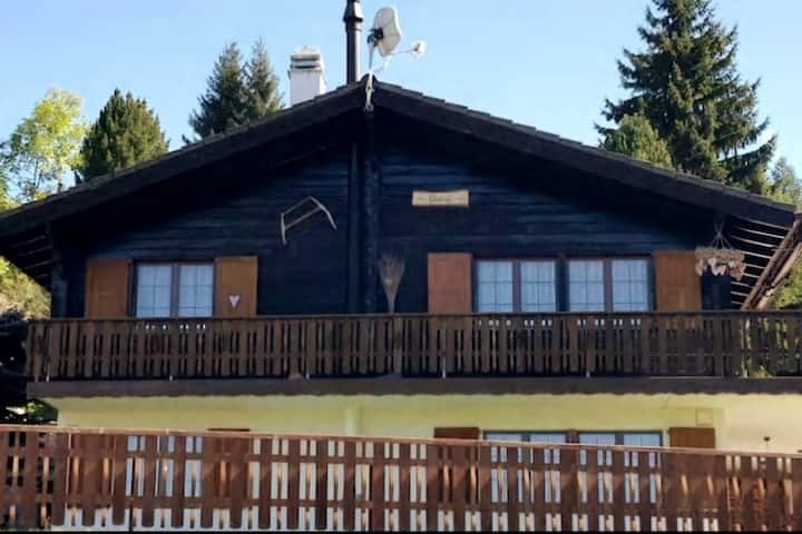 Chalet Burgi - Zwitserland