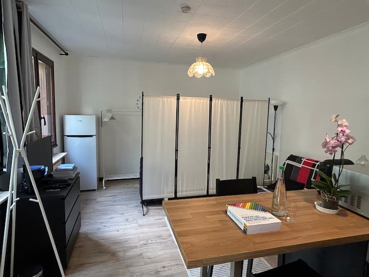 Cosy 21m² Rénové Jardin Privé - Issy-les-Moulineaux