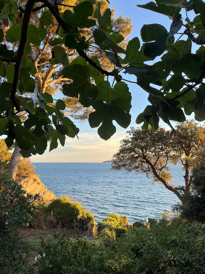 Cabanon Saint Pierre, Les Pieds Dans L'eau - Toulon