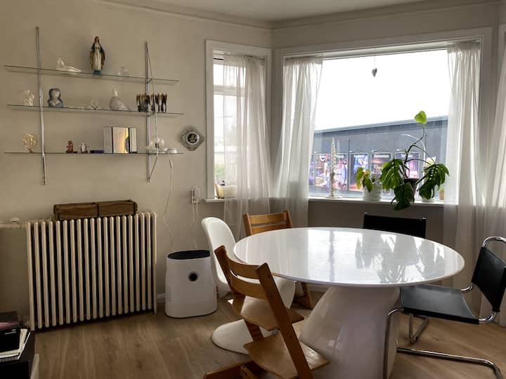 Cozy Downtown Apartment - Reikiavik