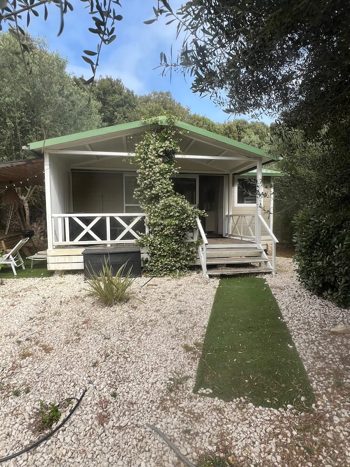 Nouveauté ! Chalet Nature 6 Pers - Bonifacio