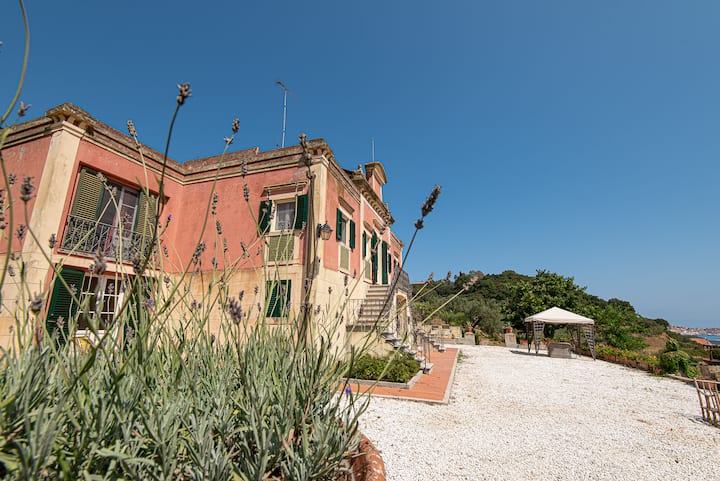 Villa Ferraio. B&b. Isola D'elba - Camera N - Portoferraio
