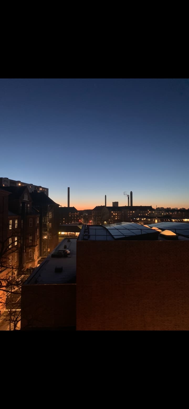 Beautiful Nørrebro Apt W/ Sunny Balcony - Copenhagen