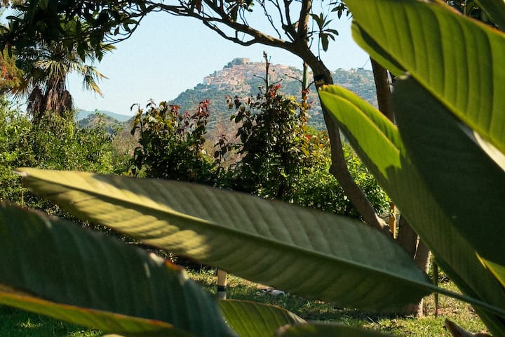 B&b Giacaranda - Acciaroli