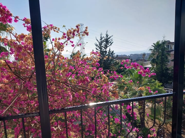 Begonvil Villa – Deniz Manzaralı - Mahmutlar
