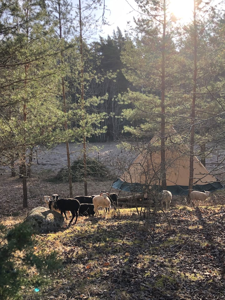 Tipitält Vid Upplandsleden - Knivsta