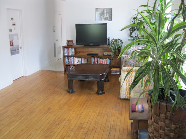 Chicago Vacation Rentals | Hotel and Apartment Rentals | Airbnb