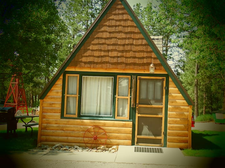 Pine Cone Cabin - Custer, SD