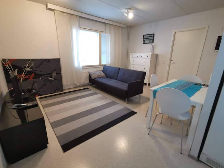 Kodikas Kaksio Lähellä Keskustaa - Eurajoki