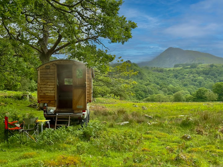 Mountain Cabin - Snowdonia National Park