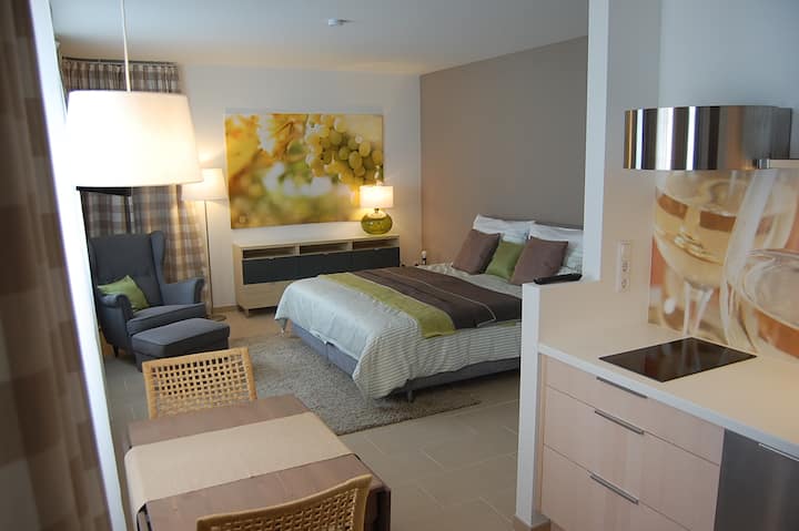 Apartment Veltliner - Klosterneuburg