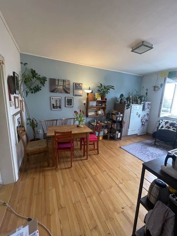 Gemütliches Zimmer In Heller, Geräumiger Wohnung - Regensburg