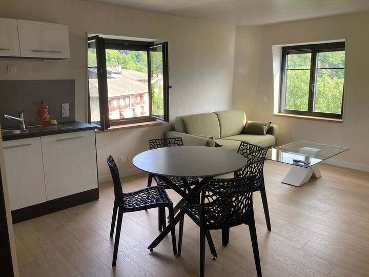 Appartement T2 - Aix-les-Bains