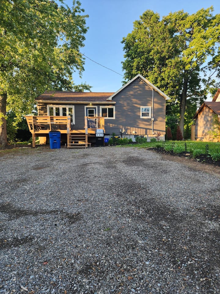 The Temporary Nest - Chatham-Kent