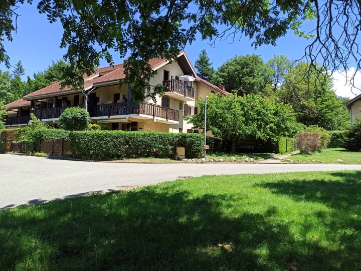 Studio Vue Montagne Rdc Jardinet - Saint-Bonnet-en-Champsaur
