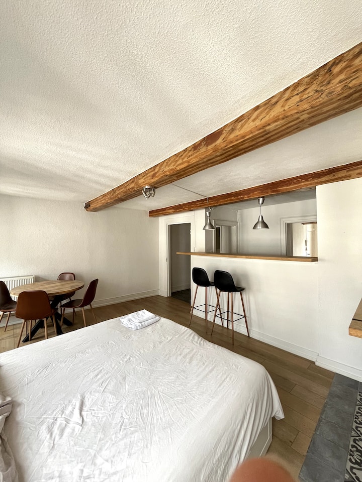 Unbeatable Location Flat - Regione Bruxelles, Belgio