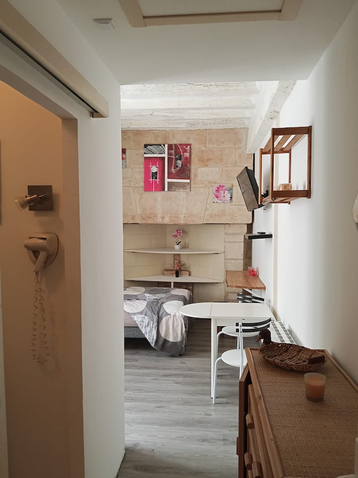 Studio Montsoreau Centre - Montsoreau