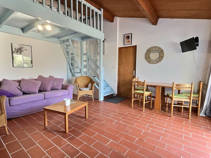 Maison De Vacances Avec Piscine - Bormes-les-Mimosas