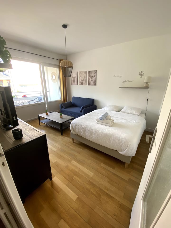 Les Halles Du Haras Plein Centre Annecy - Annecy