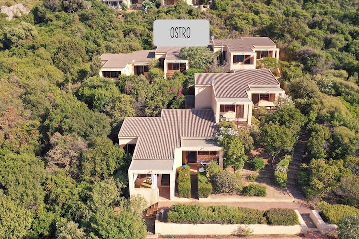 Petra Villas - Ostro - Costa Paradiso