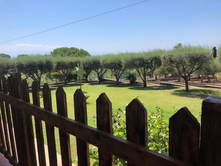 Neverland 104 - Ricadi