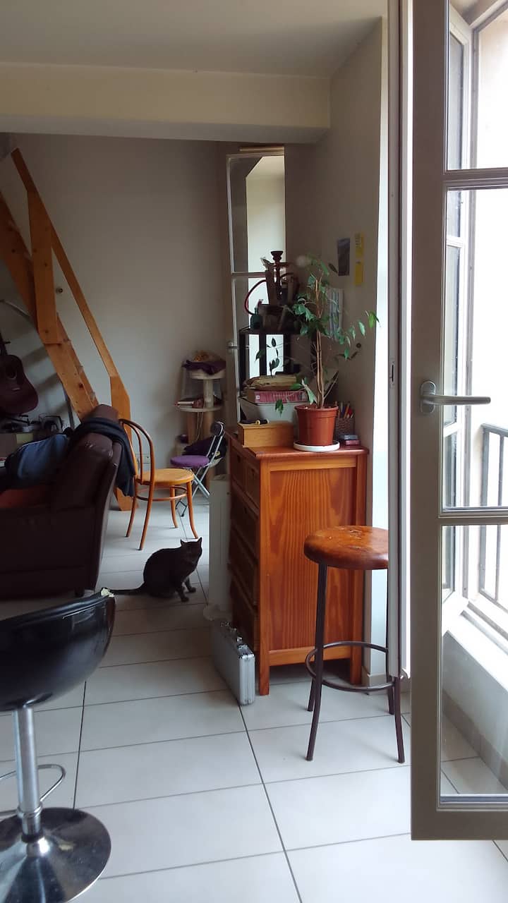 Chambre 9e Arrondissement - Lyon