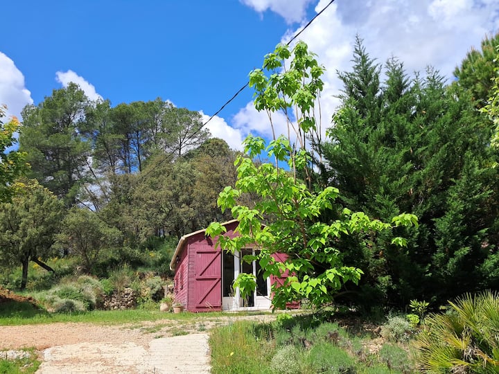 Studio Indépendant Nature - Le Thoronet