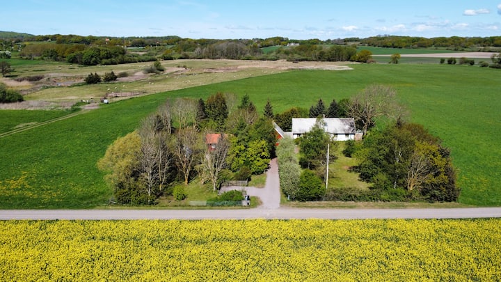 Mossen, At The Foot Of Kullen - Höganäs