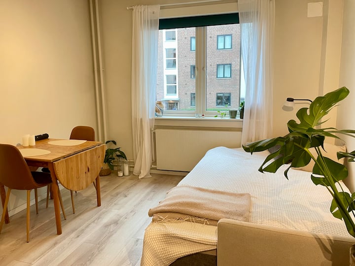 Sjarmerende Leilighet - Oslo