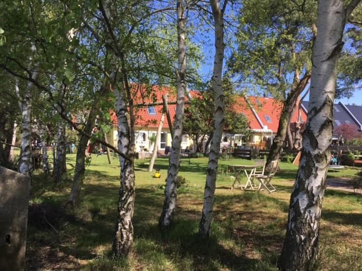 Ferienwohnung Sina - Zingst