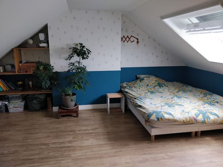 Chambre - Demi-pension - Angers