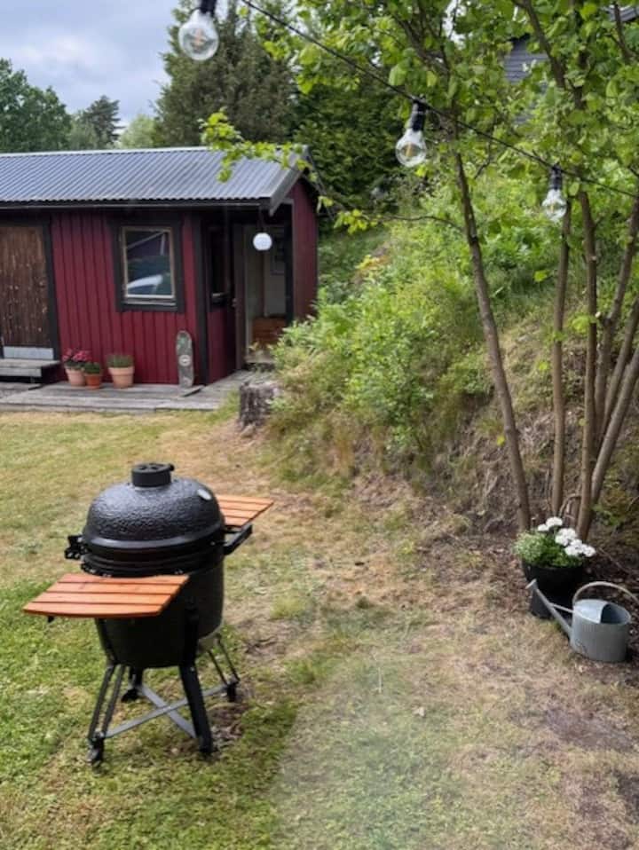 Skogsidyll Vid Sjön Med Linbana - Kumla
