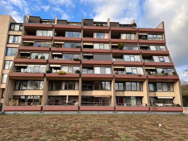 3 Zimmerwohnung Göttingen - Göttingen