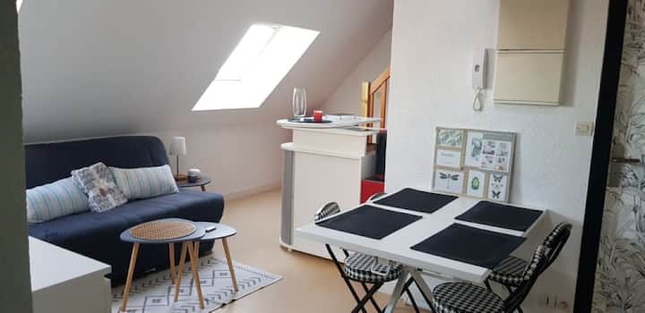 Charmant Duplex - ibis Vannes