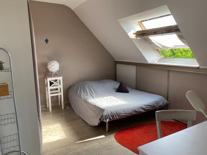 Chambre Calme Proche Gare, Campus, Centre, Halage - Laval