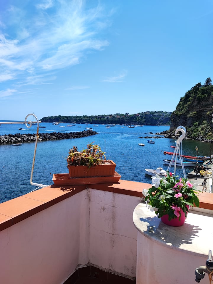 Appartamento Vista Mare, Procida - Procida