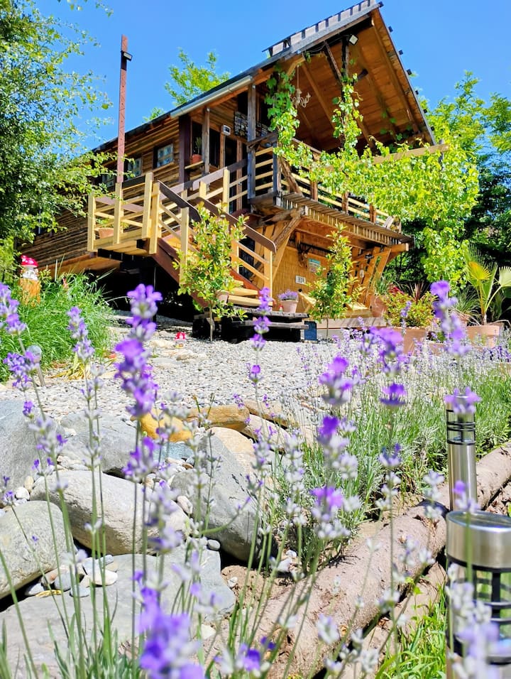 479 Tiny House, Domeniul Von Agodt, Mountain View - Avrig