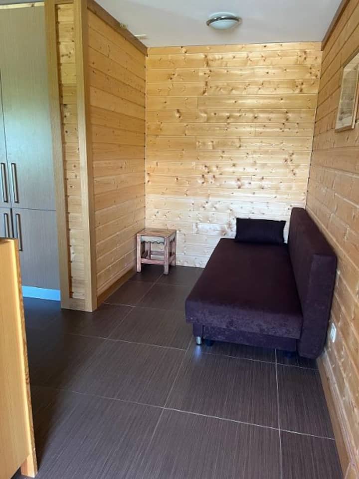 Joli Appartement De 2 Pièces - Nendaz