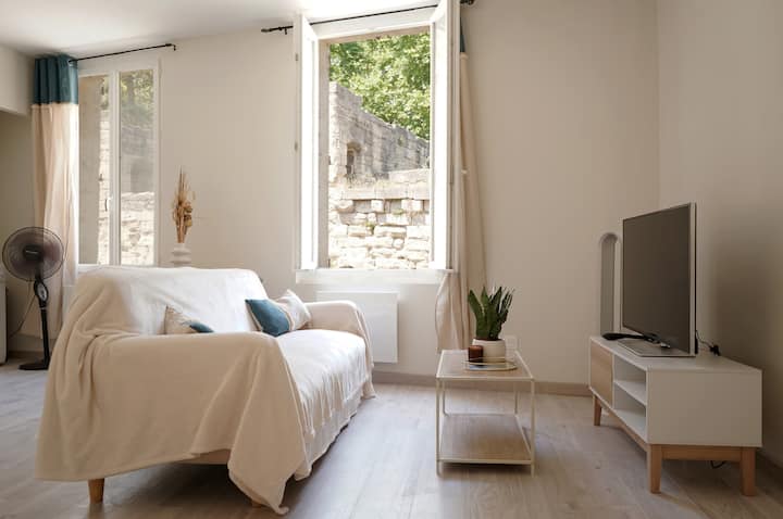 Studio Lumineux Intra Muros - Avignon