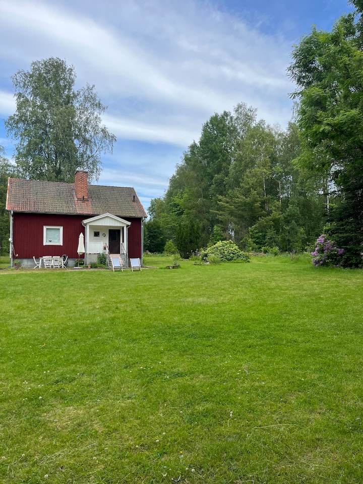 Forest Paradise - Laxå