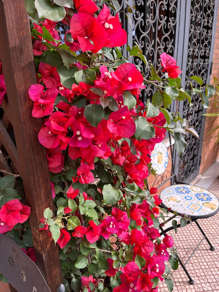 Entire Apartment In The Center Of Rome Vatican - Rome