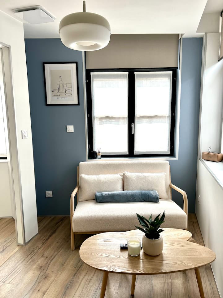 Appart Neuf " L'hospice Comtesse" Vieux-lille - Lille