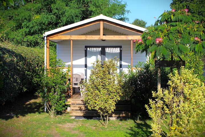 Bungalow, Terrasse Panoramique, Piscine, Tv, Wifi - La Palmyre