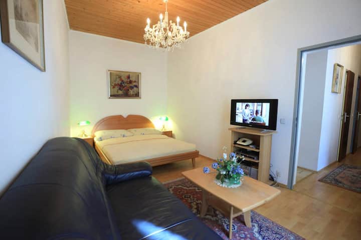 Close To Mainstatation & Belvedere I Studio 9 - Vídeň