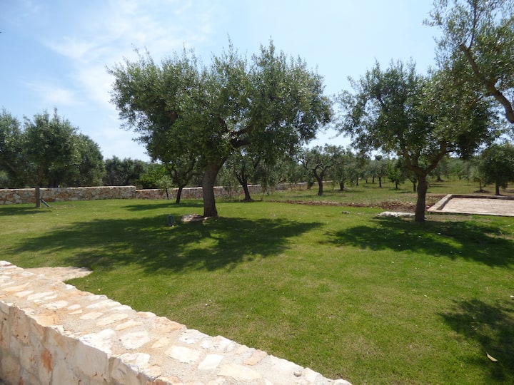 Agriturismo Dimora Casa Bianca 1 - Castellana Grotte