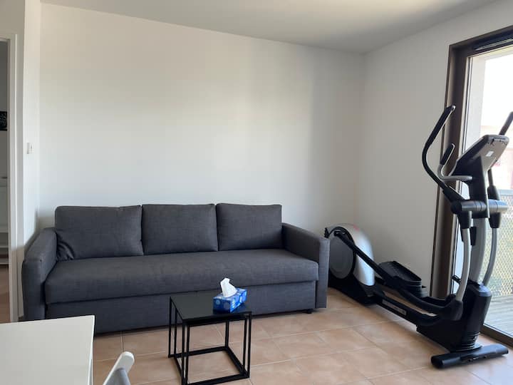 Appartement Cosy Et Lumineux - ibis Styles Saint Julien en Genevois Vitam