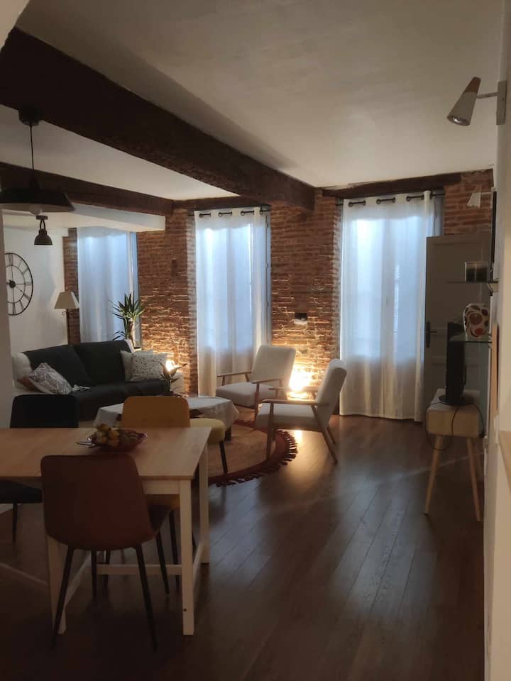 Appartement Gambetta - Gaillac - Gaillac