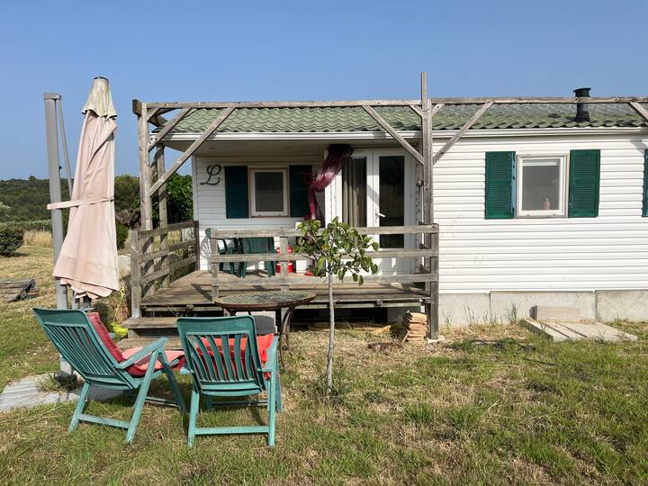 Mobil-home Cosy En Pleine Nature - La Boissière