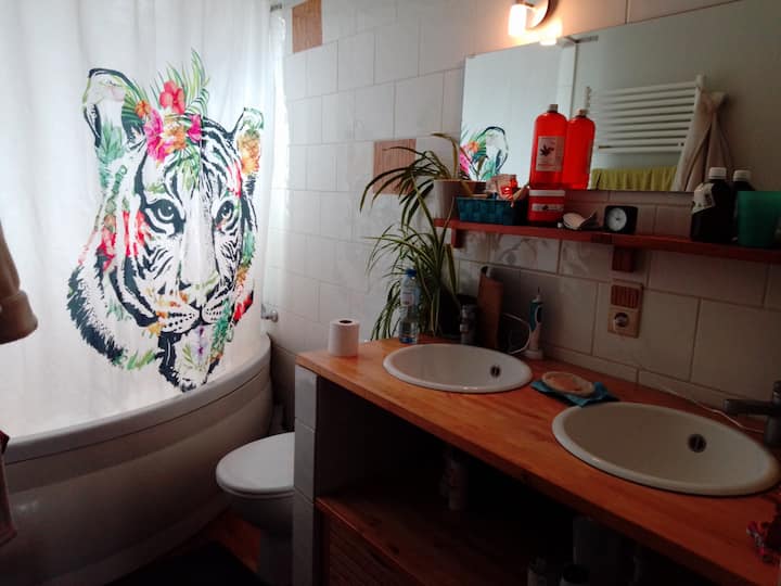 Minuscule Chambre Dans Maison - Liège