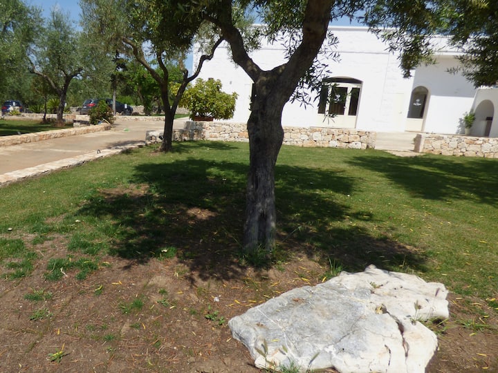 Agriturismo Dimora Casa Bianca 2 - Castellana Grotte